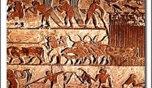 Fascinating Facts about Indus Valley Civilization – History Adventures