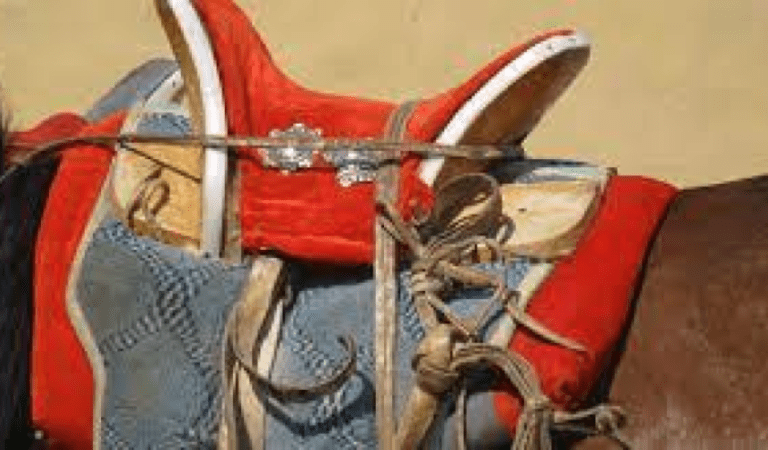 From Archers to Architects: 5 Brilliant Mongol Empire Innovations ...